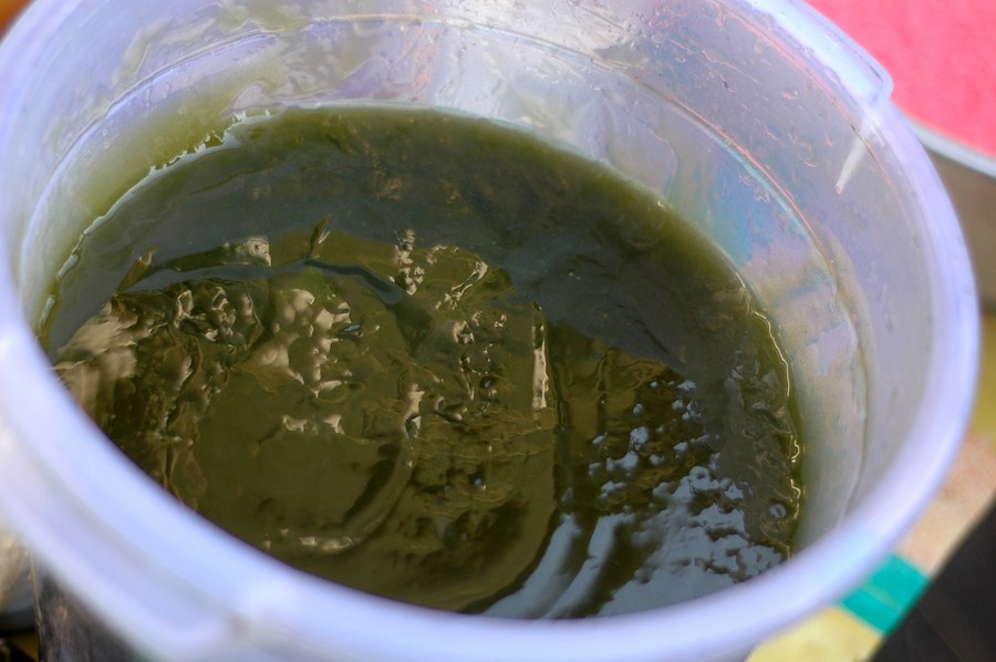 Ubud, Bali : la boisson-santé des balinais | Le Frigo Magique